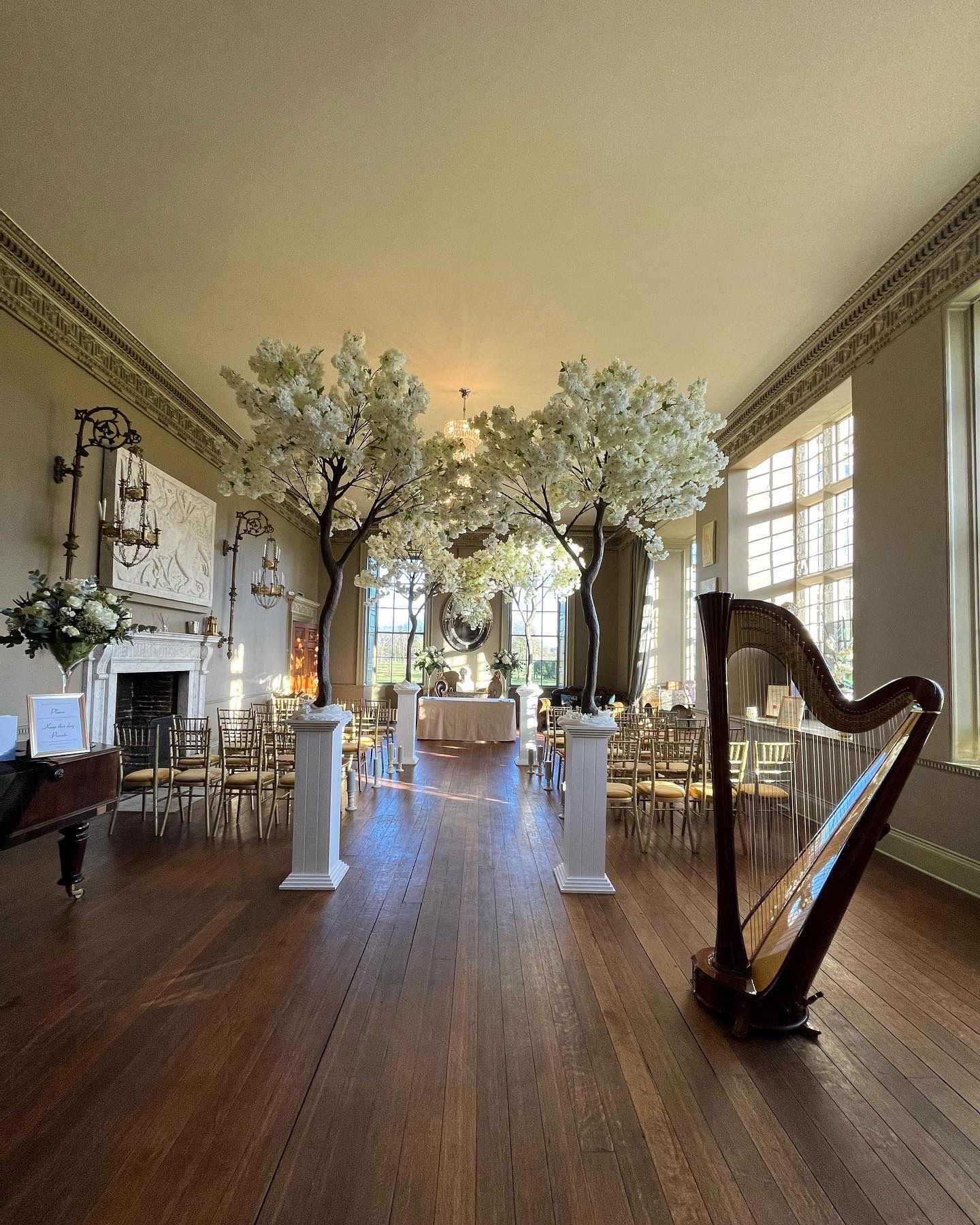 Francesca Harp | Harpist Hull, East Yorkshire | Alive Network