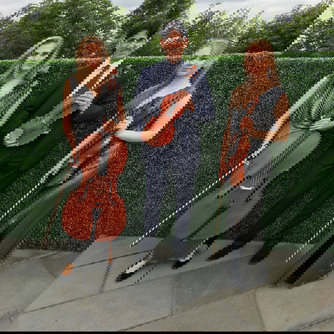 Garden String Quartet | String Quartet London | Alive Network