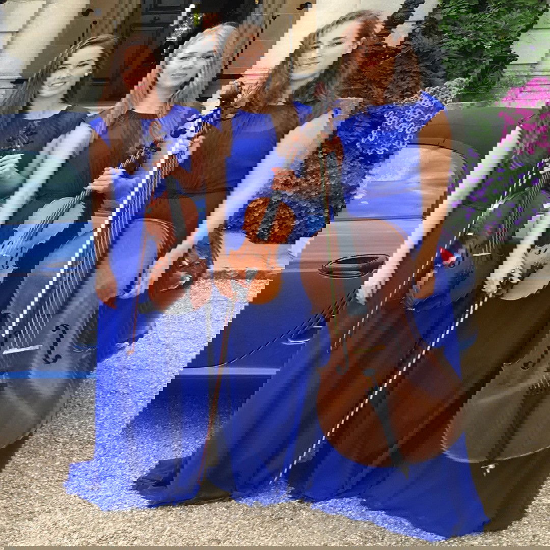 Garden String Quartet | String Quartet London | Alive Network