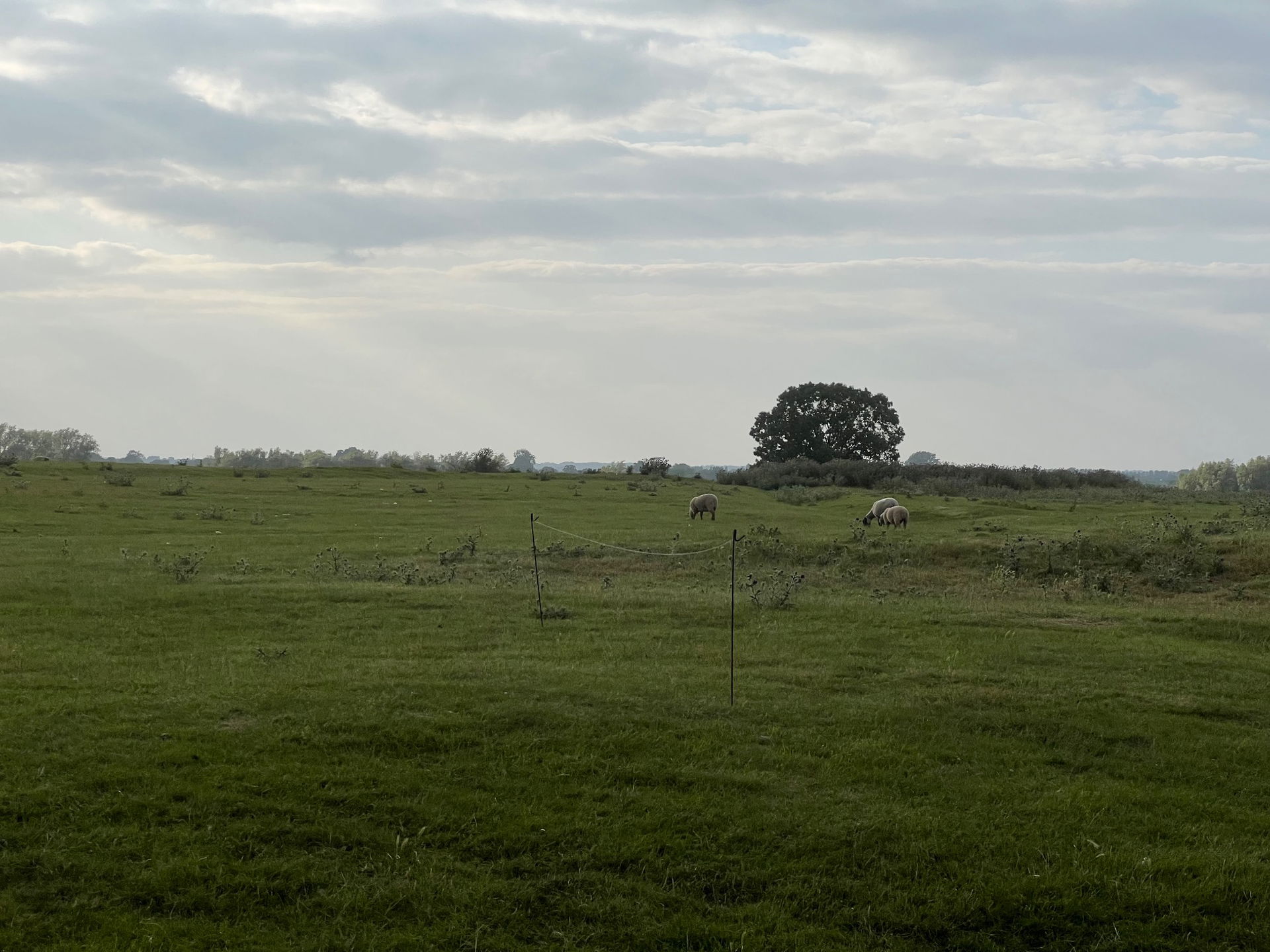 The Dukes | Rock and Pop Function Band Middlesex, Greater London ...