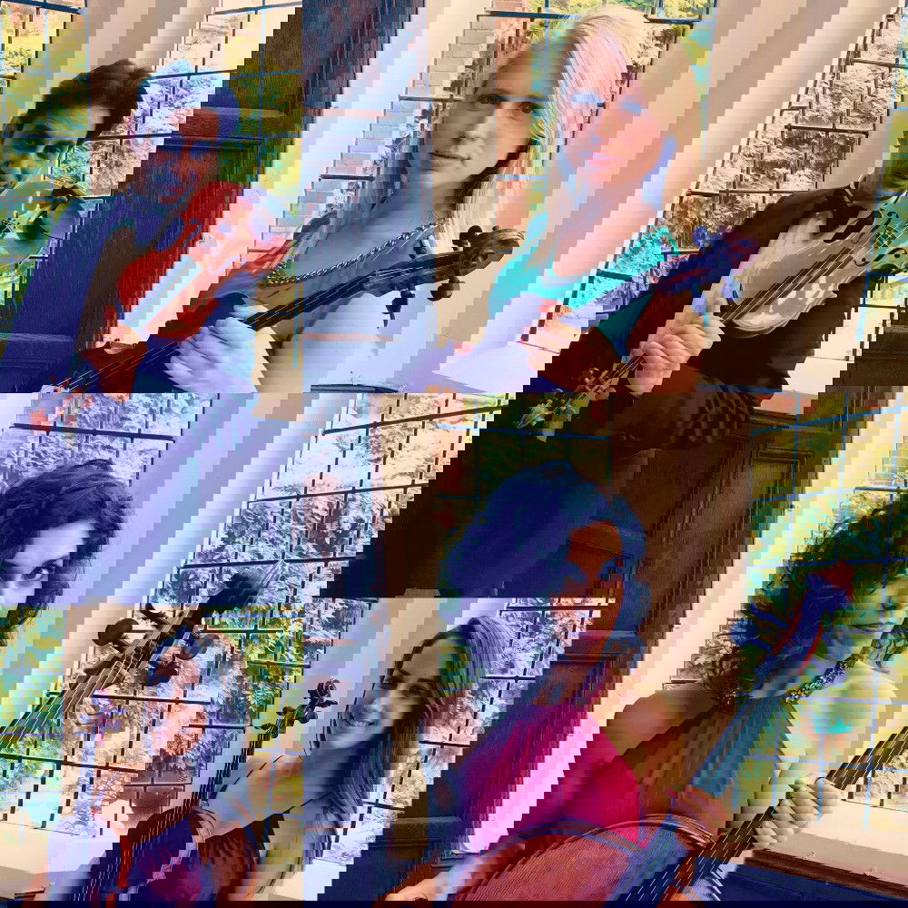 Garden String Quartet | String Quartet London | Alive Network