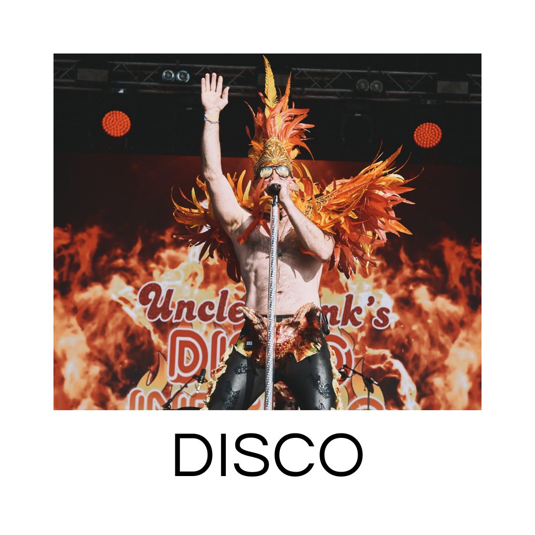 Disco Chic | 70's Funk & Disco Band Hertfordshire | Alive Network