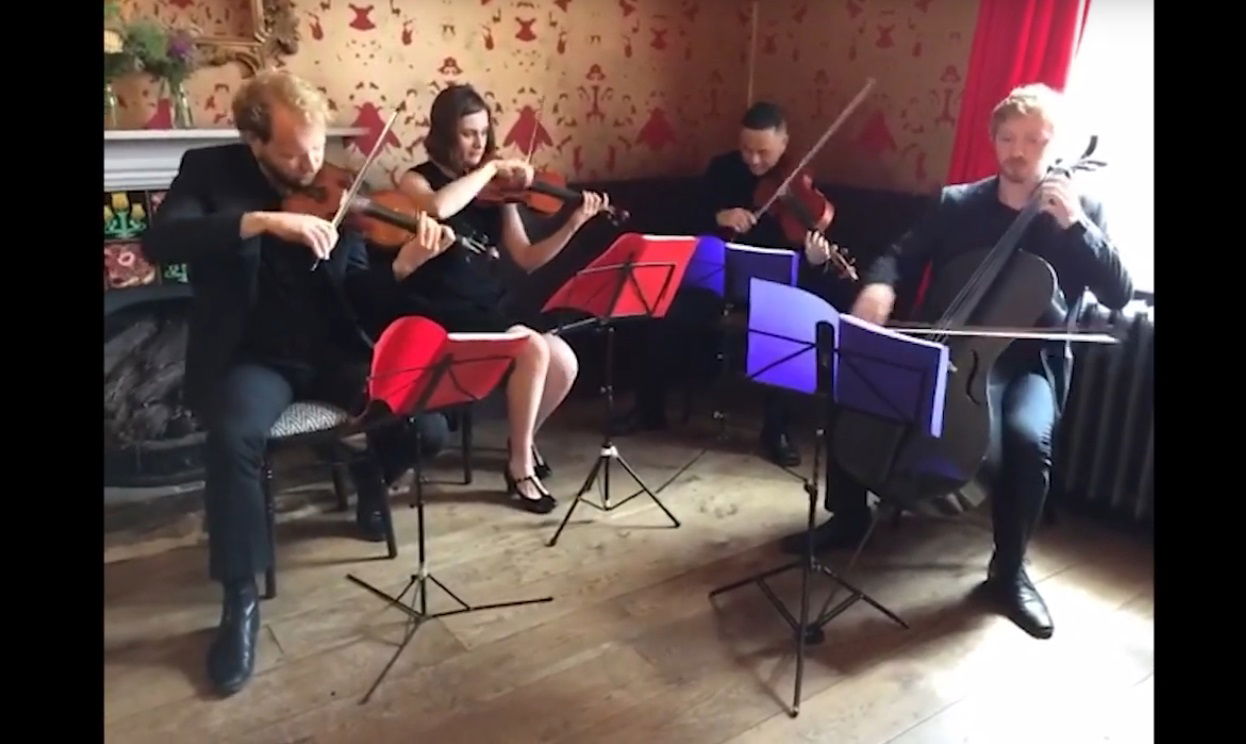 Canon Strings | String Quartet Surrey | Alive Network