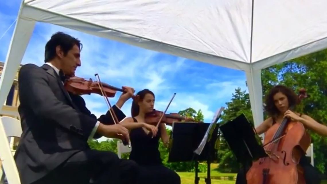 Garden String Quartet | String Quartet London | Alive Network