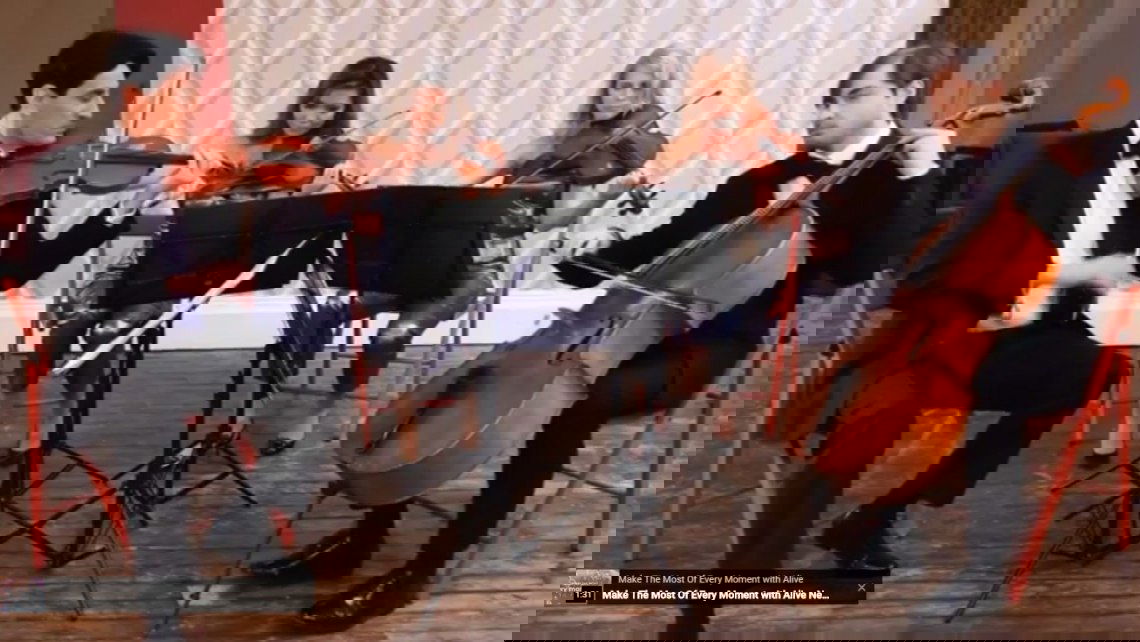 Garden String Quartet | String Quartet London | Alive Network