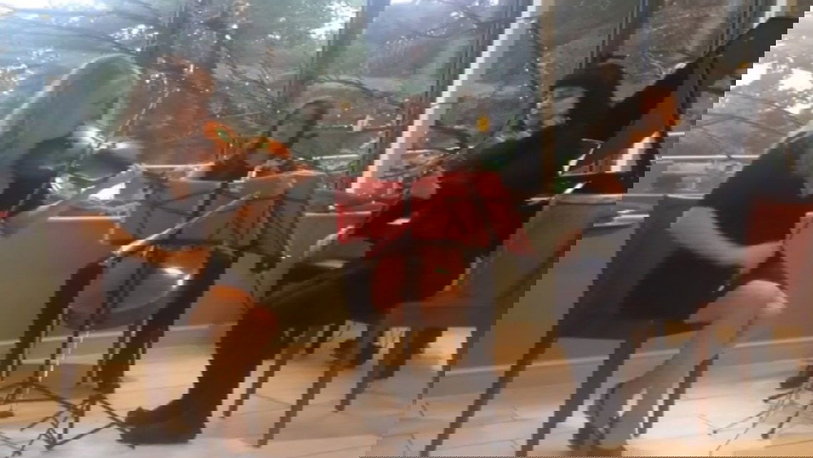 Aurora Strings | String Quartet Cramlington, Newcastle Upon Tyne | Alive Network