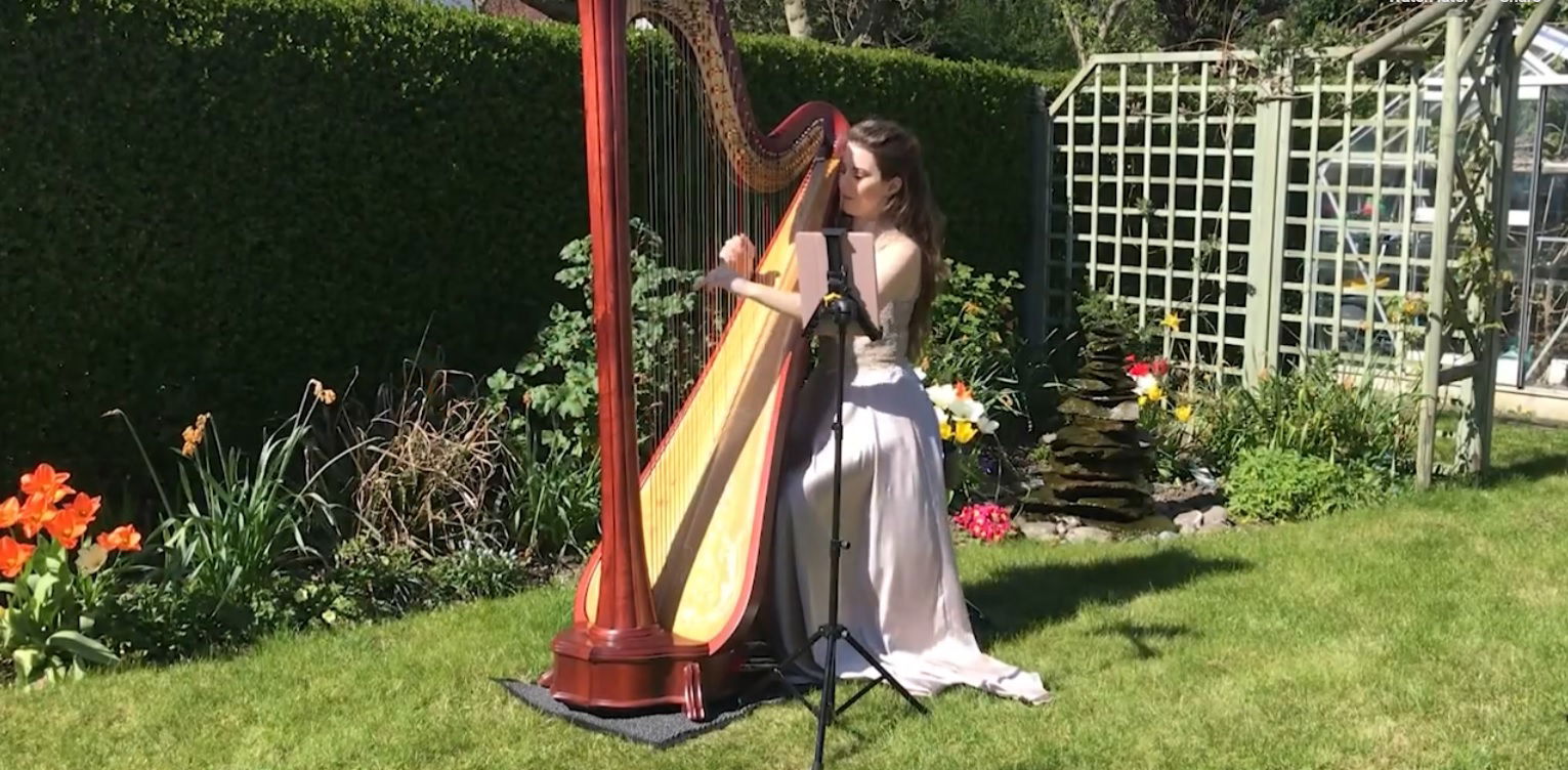 Francesca Harp | Harpist Hull, East Yorkshire | Alive Network